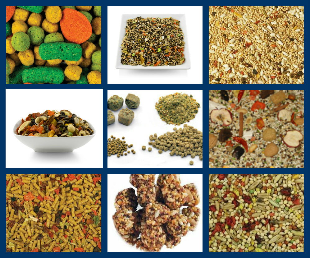 Bird Food – NatureChest